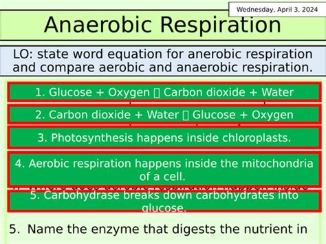 Ks3 Biology Anaerobic Respiration Teaching Resources