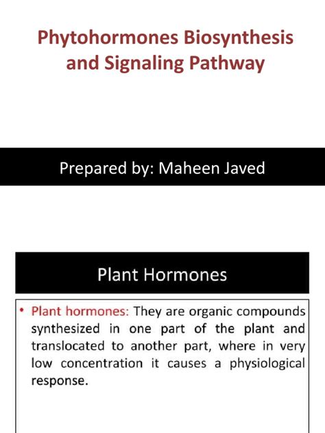 Biosynthesis Of Plant Hormones Pdf