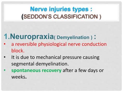 Introduction To Periphral Nervous Sys Ppt