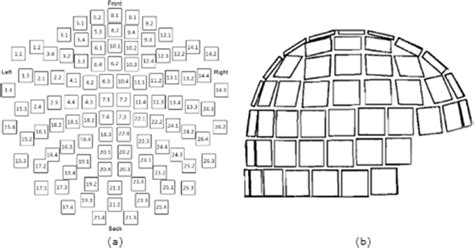 A Sensor Space Of MEG As Defined By Vendor Elekta B Sensor