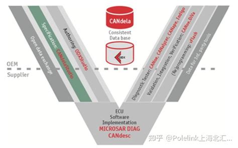 Capl在诊断中的应用，你值得了解！ 知乎