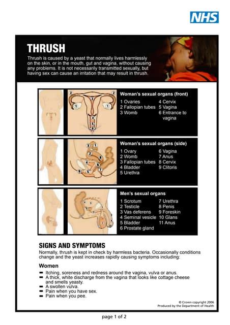 Nhs Fact Sheet Thrush Pdf