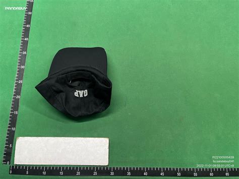 Yeezy Gap Cap QC : r/FashionReps