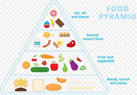 饮食结构图矢量png图片素材下载 图片编号yzozkkrw 免抠素材网