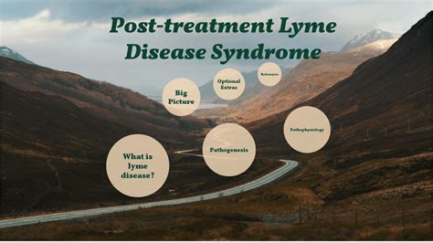 Post Treatment Lyme Disease Syndrome By Aimee Wojtowecz On Prezi