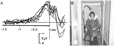 A Reverse Computation Rückwärtsanalyse Of Electroencephalographic Download Scientific