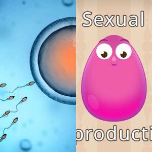 Free Homework Prep Sexual Reproduction And Genetic Variation MS LS3 B 1 Free Games And