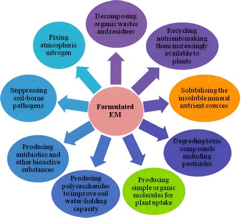 Icar Iisrs Microbial Formulation To Improve Agricultural Productivity