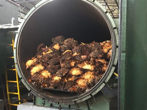 El Lado Religioso Del Tequila La Oración Del Borracho Infobae