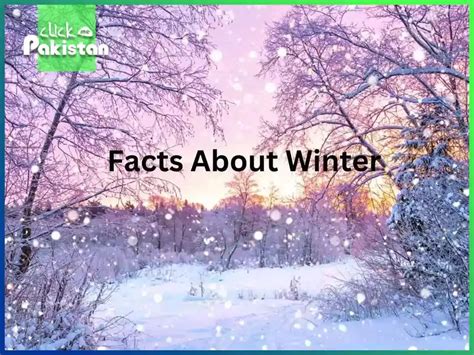 12 Interesting Facts About Winter Clickmepakistan