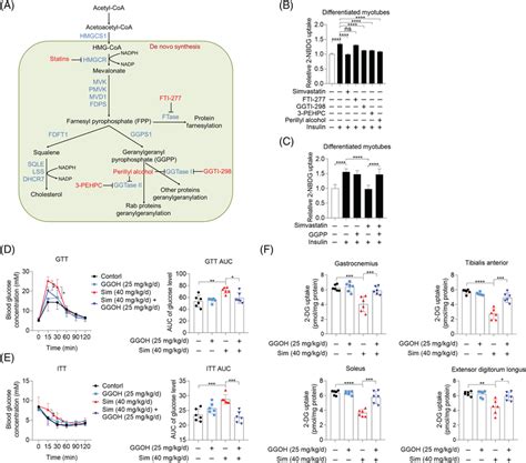 Geranylgeranyl Pyrophosphate Ggpp Depletion By Statins Inhibits
