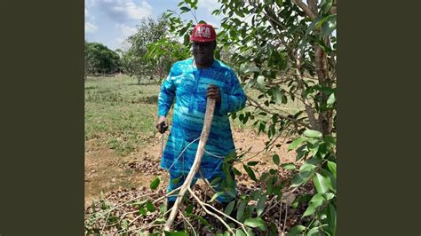 After Presidential Poll Ex Senate President Anyim Returns To Farm