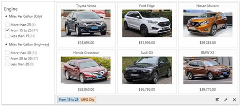 Predefined Filters Wpf Controls Devexpress Documentation