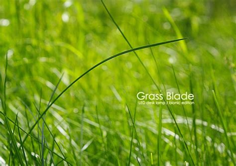 Grass Blade Bionic On Behance