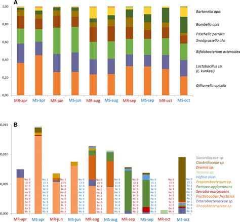 Bacterial Community Composition Distribution Of The Most Common
