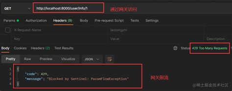 Spring Cloud Gateway 网关限流本文将使用以下两种方式实现网关的限流： 1、使用spring Clou 掘金