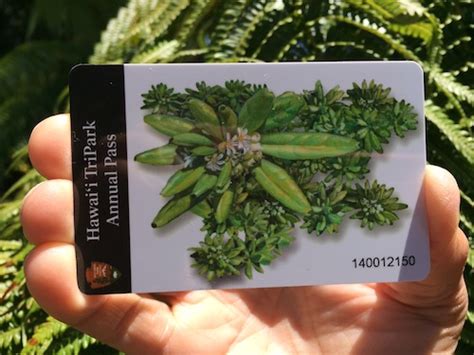 Hawaii National Park Pass Offers Unlimited Entry To Popular Parks On