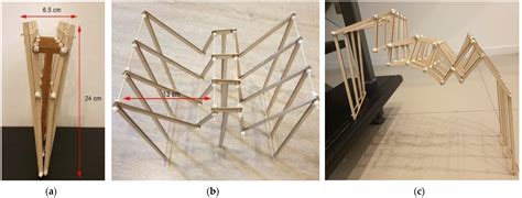 Biomimetics Free Full Text Teaching Nature And Architecture