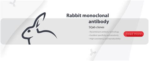 Antibodies Antibody Duos And Elisa Kits Arigo Biolaboratories