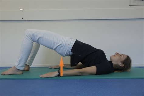 Anatomie Physiologie FitVital Kassel