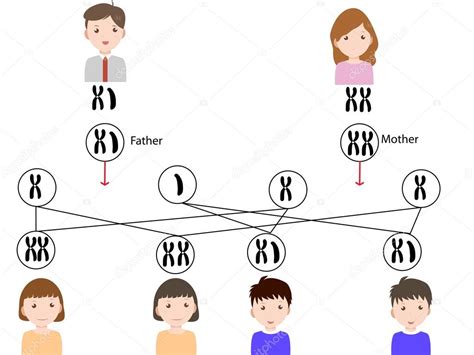 Planos Del Cuerpo Humano Porn Sex Picture