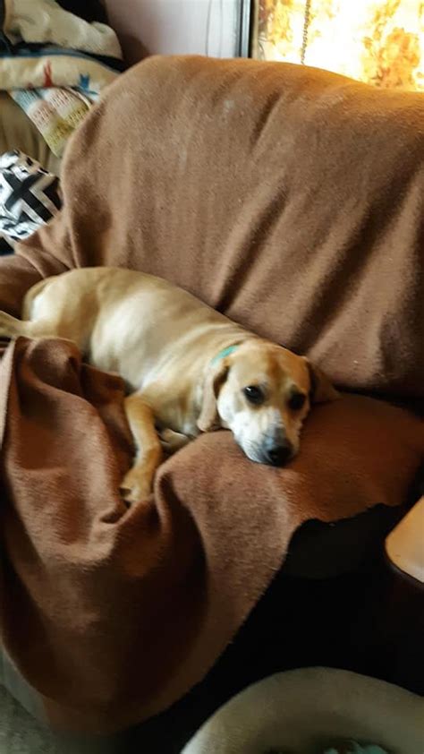 Open Arms Rescue Of Wny Home Facebook