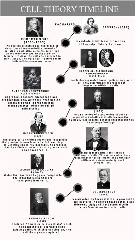 Timeline Of Cell Theory