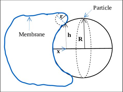 fig s3 schematic diagram of our analytical model a spherical