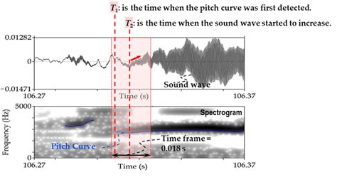 The Sound Waves And Spectrogram At Rec 2 Of The Utokyo Experiment For