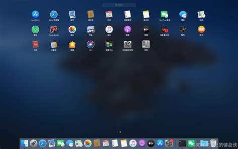 调整 macos 的程序坞（启动台）行列默认大小 mac程序坞默认大小 csdn博客