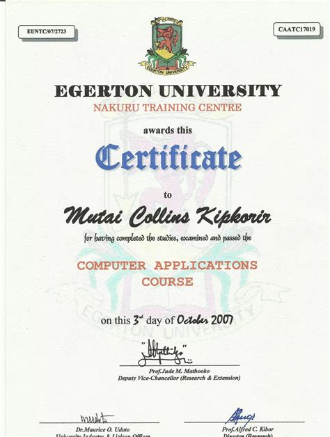 Computer Application Certificate Pdf