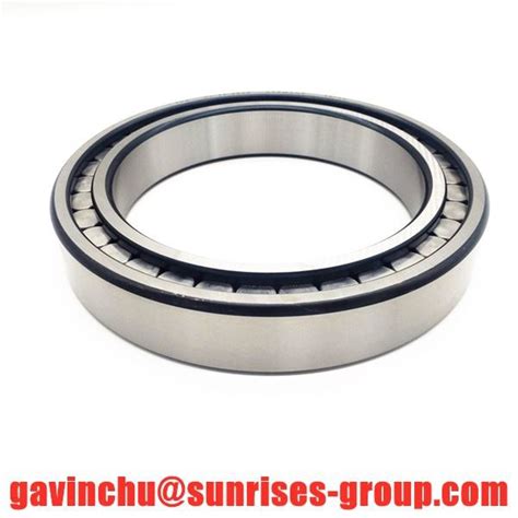 China SL183040 Full Complement Cylindrical Roller Bearing Suppliers