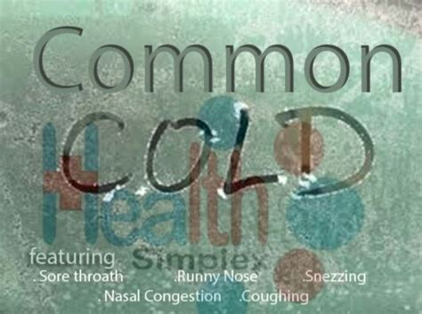 Health It Is Common And Called The Common Cold