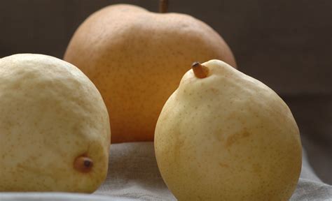 あたご梨 通販「岡山果物カタログ」では産地直送いたします。
