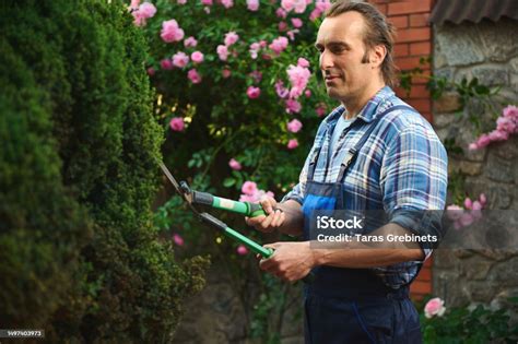 Tukang Kebun Pria Profesional Amerika Latin Memotong Tanaman