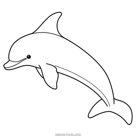 Dibujo Fácil De Delfín Dibujo Facil