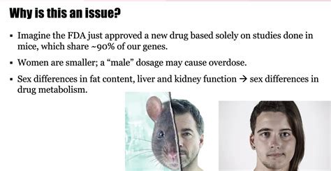 Jae Kyoung Kim On Twitter Anita Layton Gave A Plenary Talk His Or