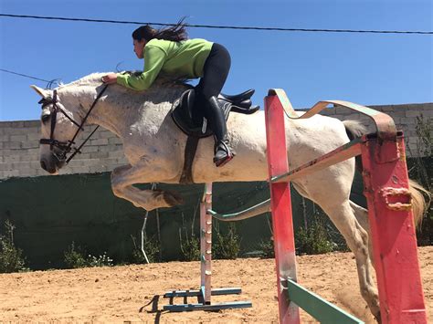 Clases de equitación Club Hípico Yerbabuena
