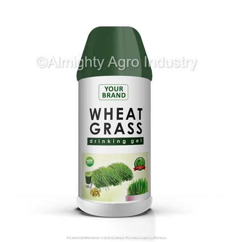Natural Wheat Grass Juice Packaging Type Bottle Bottled Packaging At