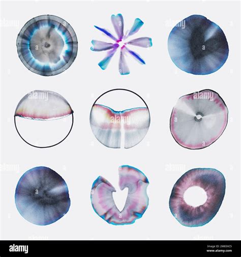 Aesthetic Abstract Chromatography Art Vector Element Set Stock Vector Image And Art Alamy
