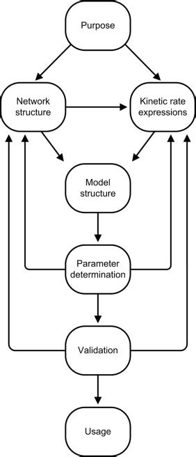 Illustration Of The Main Steps Of The Kinetic Modeling Procedure