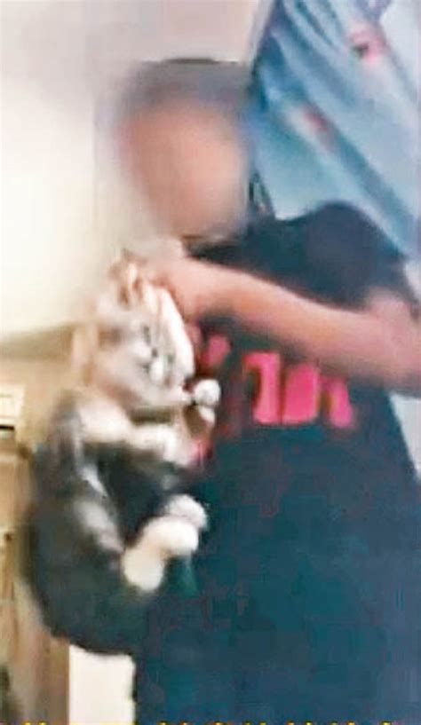 情變殺貓 男子被起底打斷指 東方日報