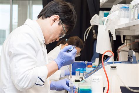 Cell And Tissue Engineering Biointerfaces Institute University Of Michigan