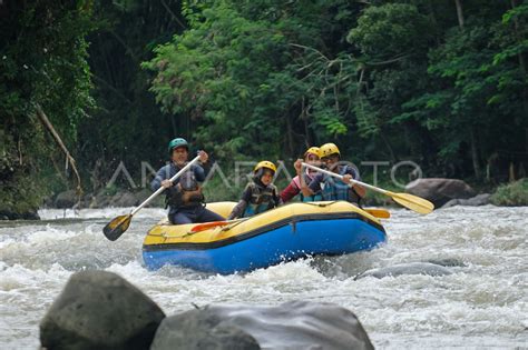 Wisata Arung Jeram Di Kawasan Borobudur Antara Foto