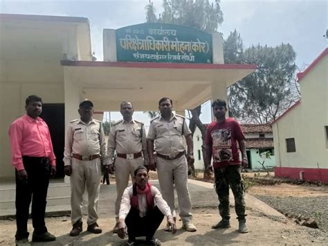 Forest Department Action In Sidhi सीधी में वन विभाग की कार्रवाई