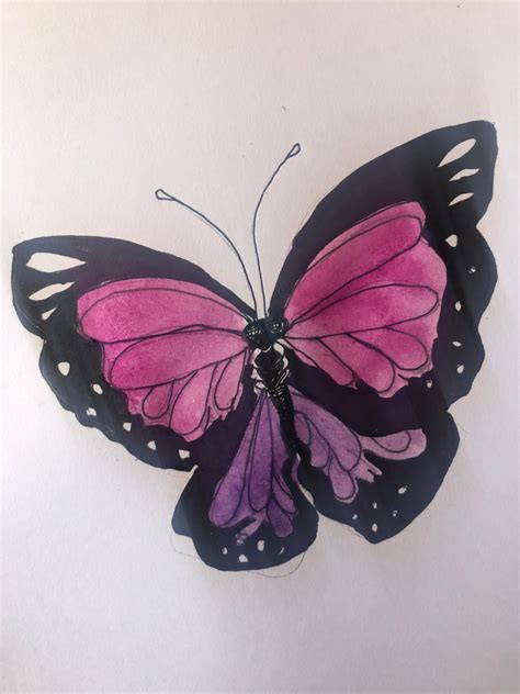 Butterfly By Peskyferret23 On Deviantart