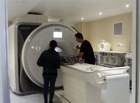 Cognitive Neuroscience Of Language Psycholinguistics And