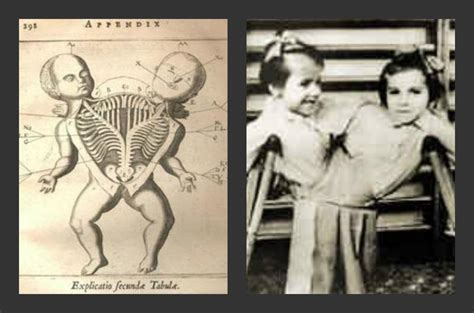 The Most Evil Science Experiments Ever Performed