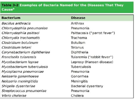 Microbial Classification Flashcards Quizlet
