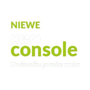 Seo Console Gidsen Nettl